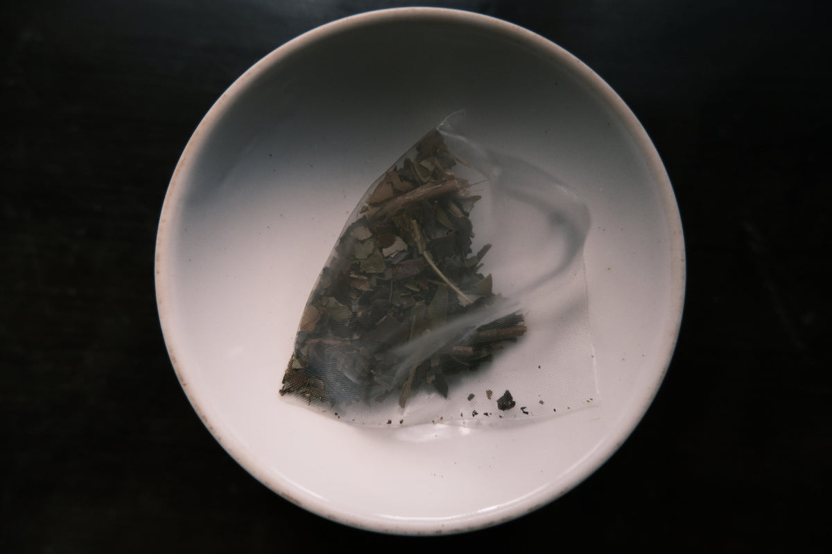 Hiroshima native bancha tea bag – TEA FACTORY GEN